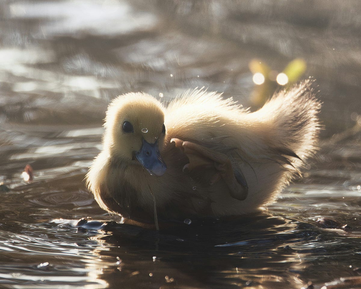 How Thoughts Shape Reality (and Reality Shapes Thoughts): The Hidden ...