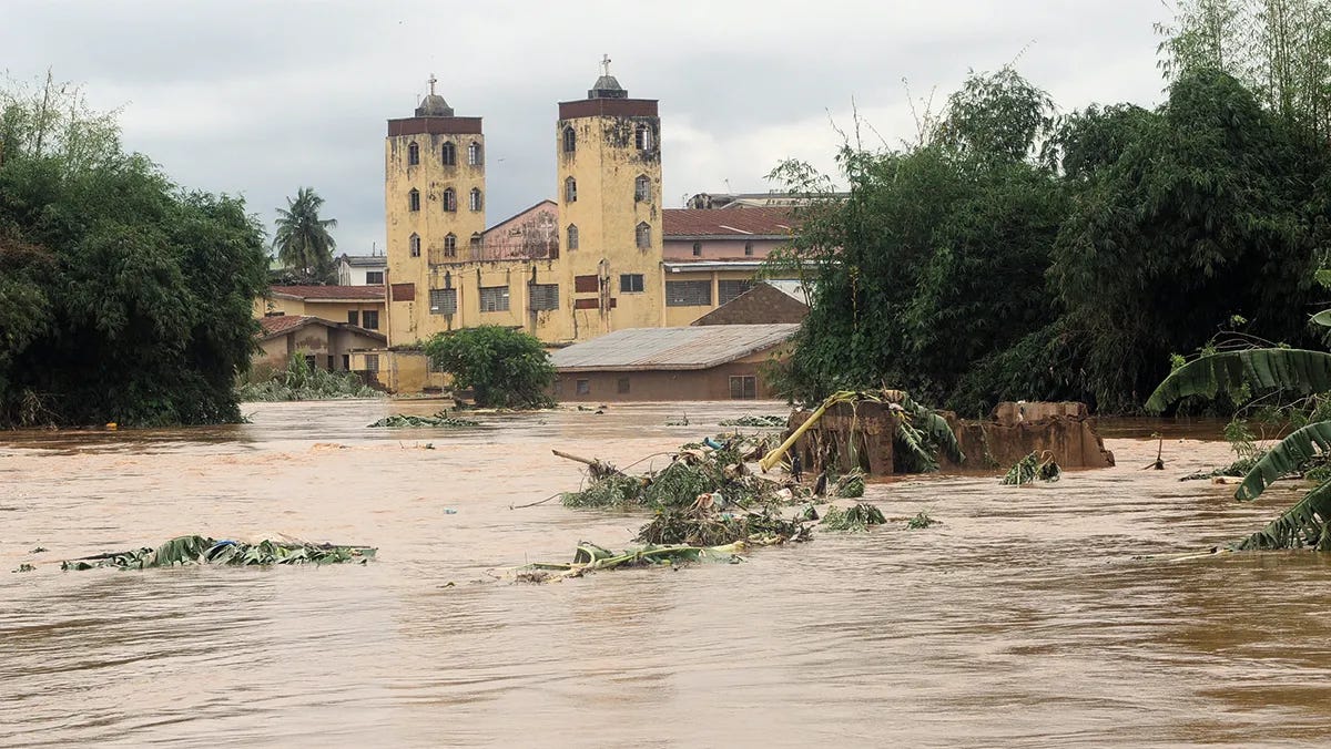 What is the Earth Going to Look Like After Humans? | by Caitlyn Hamlin ...