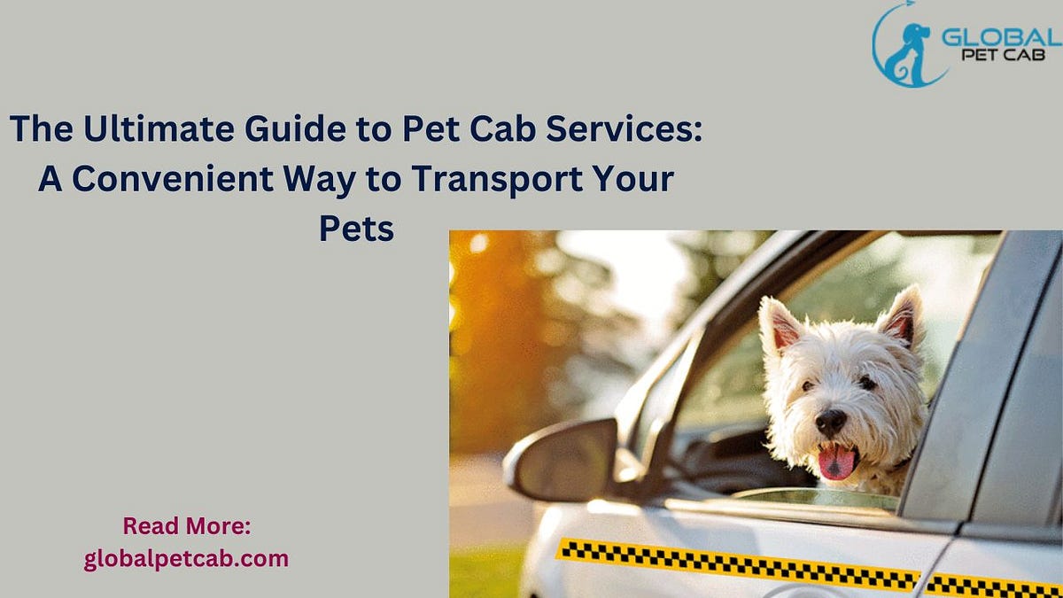 Exploring the Benefits of Pet Cab Services for Your Furry Friends | by ...