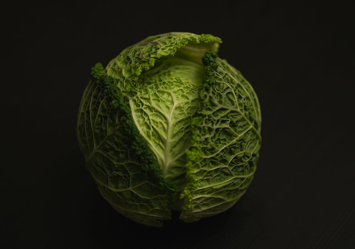 Cabbage. The fact that offers various medical… | by Tasha | Medium