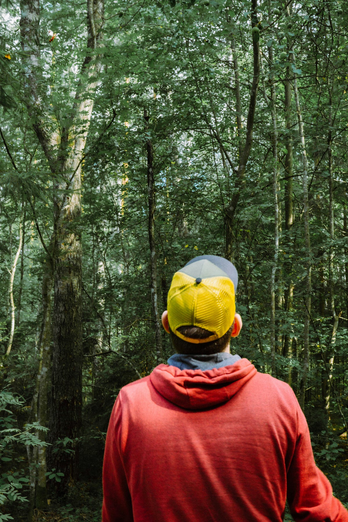 The Secret Psychology of Land Disputes: Why People Fight Over Dirt | by ...