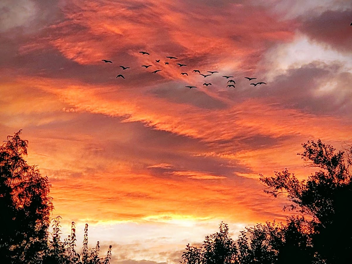 Hallelujah!. A haiku series | by Dennett | Medium