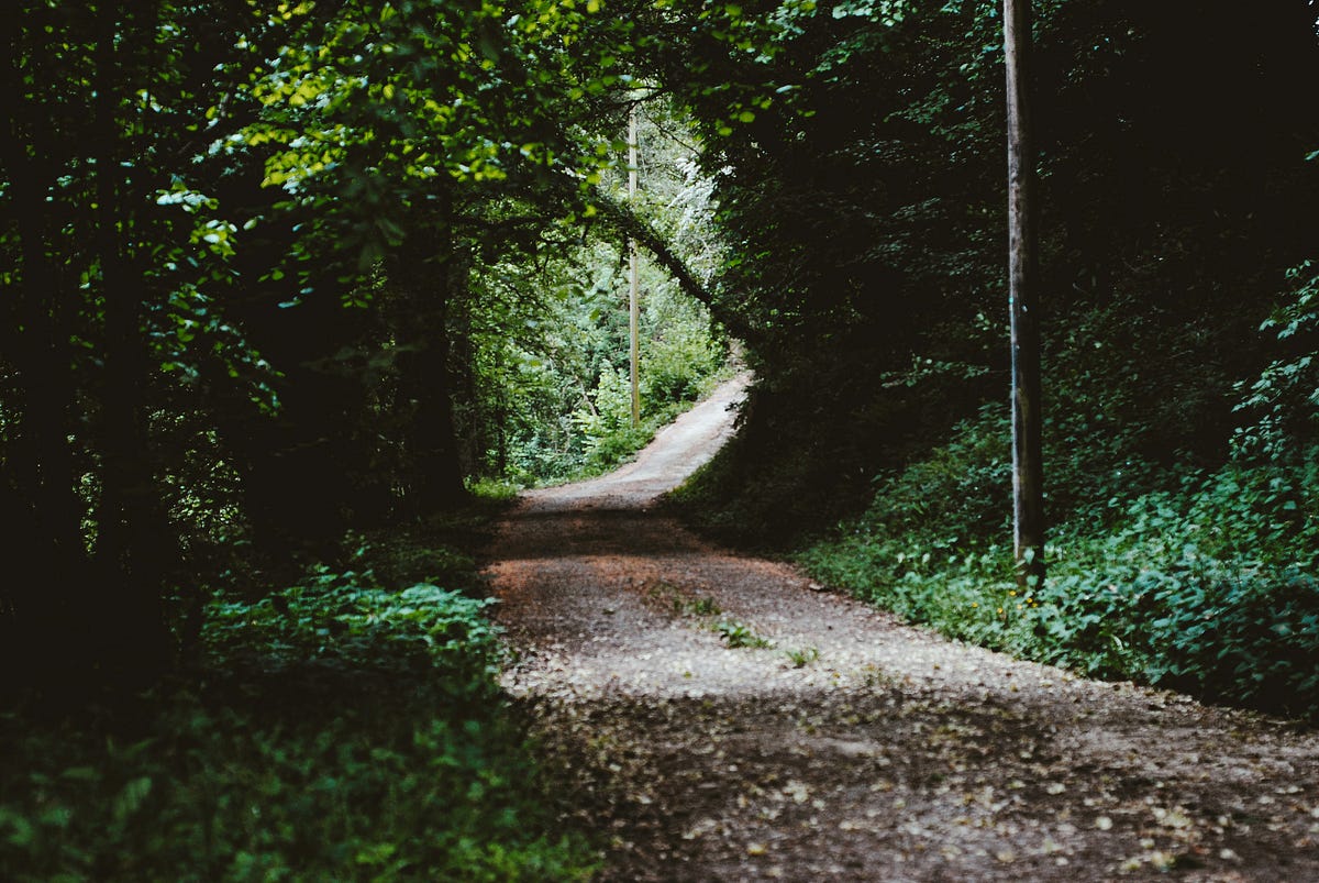 Jumping into Substack. Another turn in the Joyous Road! | by Joyce Martin | Dec, 2024 | Medium