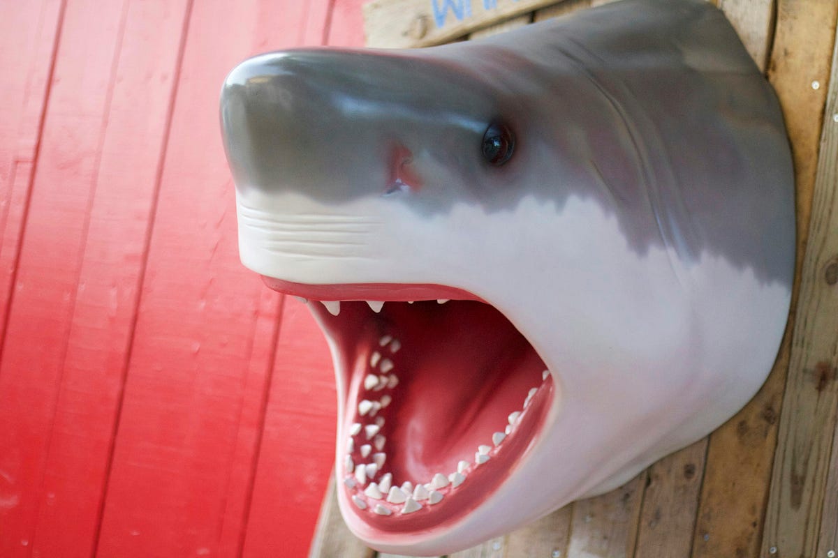 Jaws: The Childhood Obsession That Still Bites | by Karen McLaughlin ...