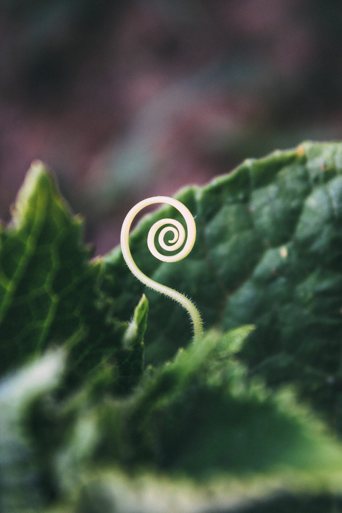 Dear reader,. Thanks so much for following my… | by Chelsey Flood ...