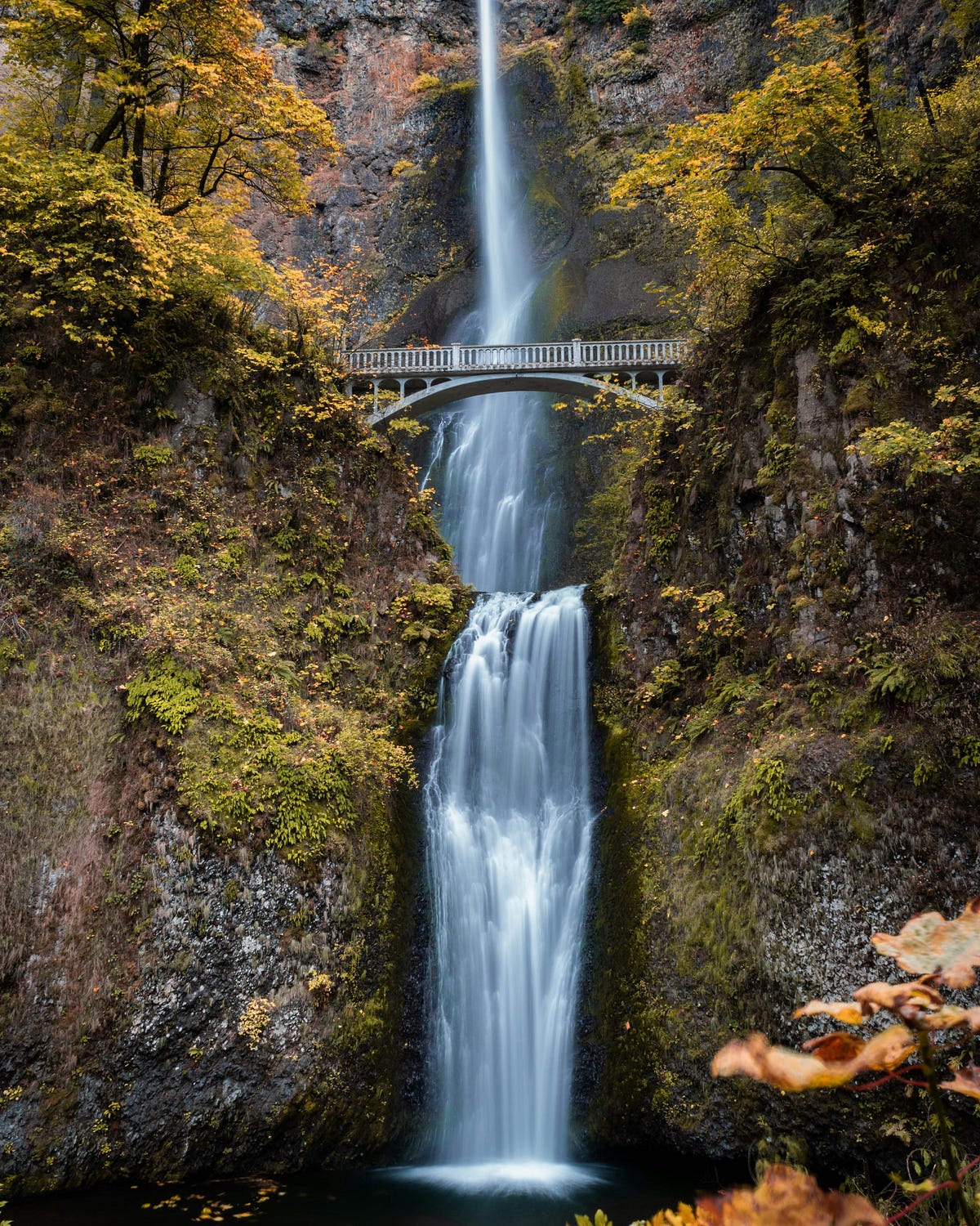The Pacific Wonderland: 5 Top Reasons to Visit Oregon | by GloScape ...