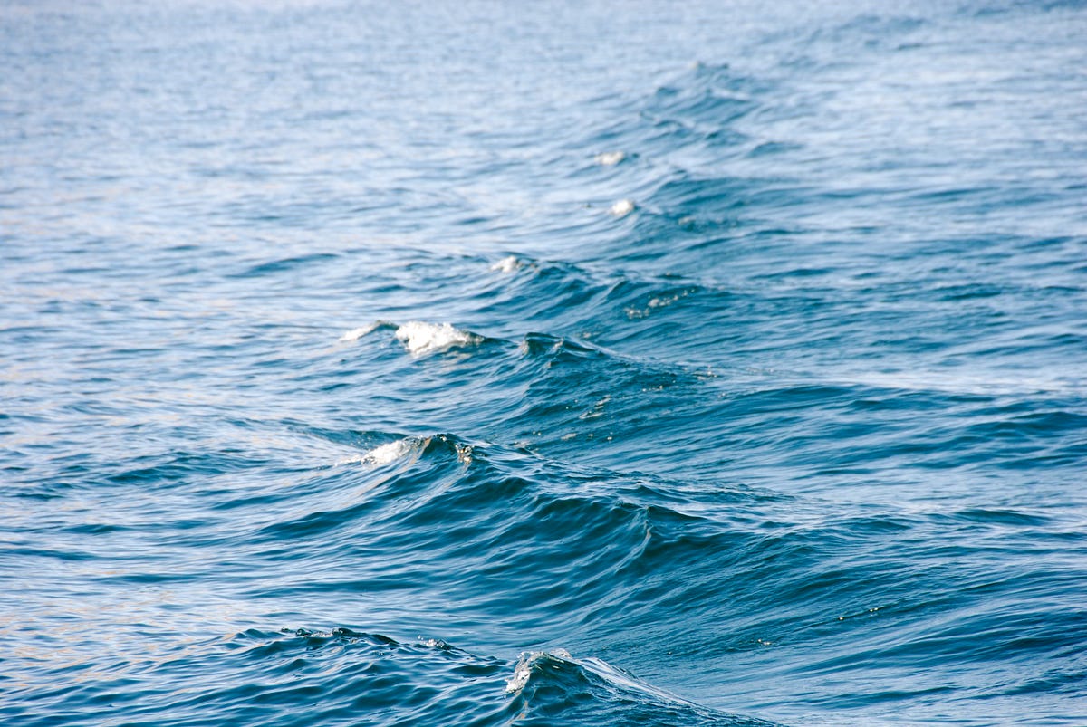 Quivering Waves. Heart is still beating | by Linda F | Medium