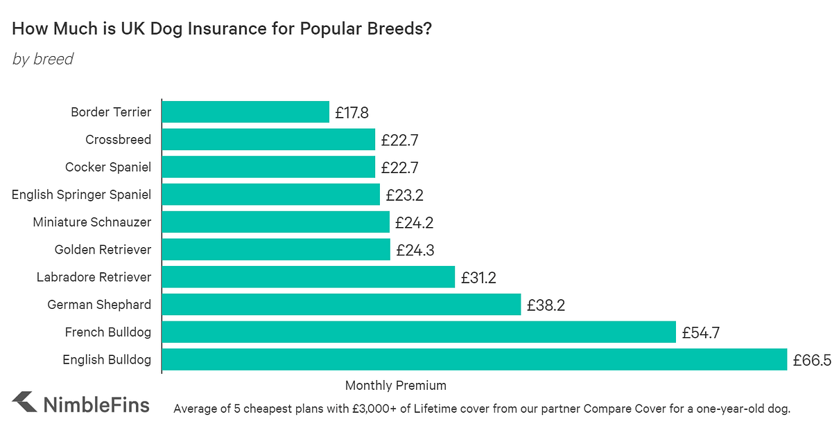 How Much Does Dog Insurance Cost UK: Unveiled Savings! | by The Wears ...