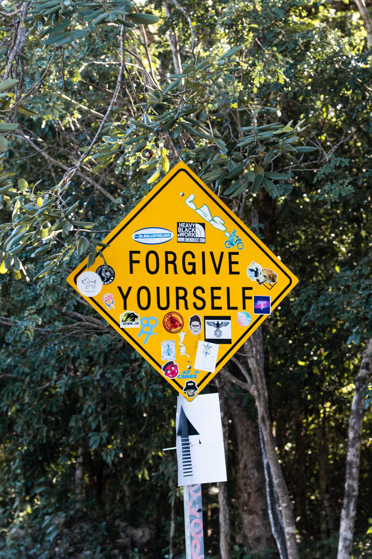 Forgiveness is a difficult thing to do. Especially when you’ve been hurt. | by Charlotte B. | Medium