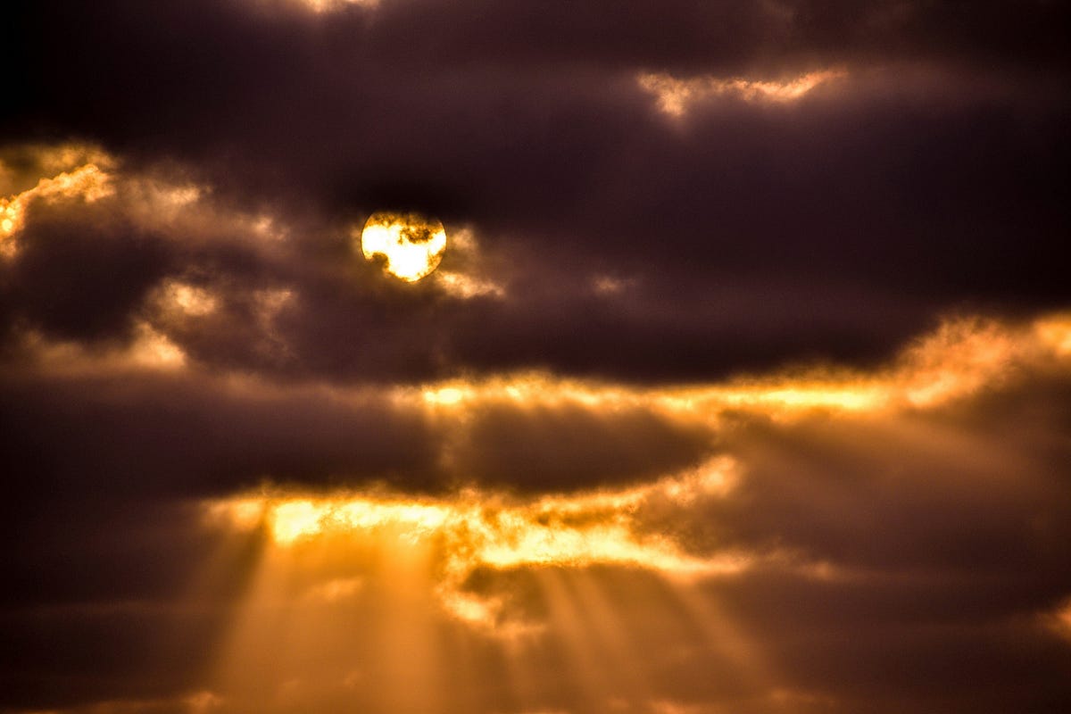 The Life I Built Inside a Dream. Things I built while falling apart ...