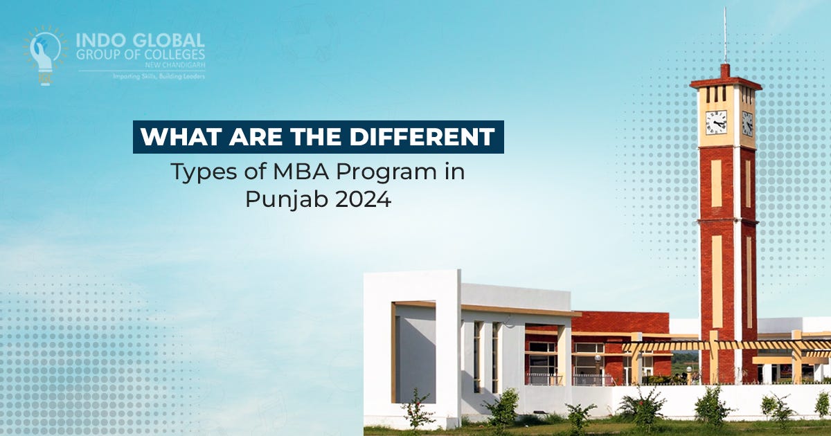 What Are the Different Types of MBA Program in Punjab 2024 | by Indo ...