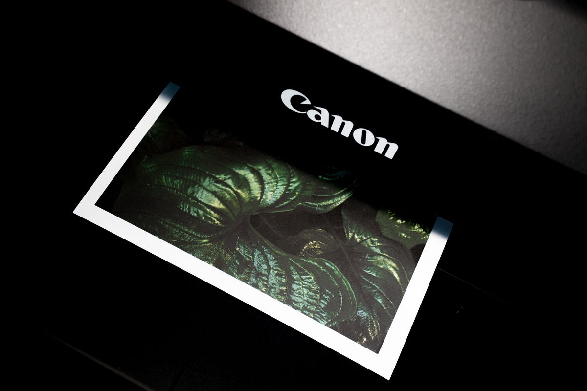 Day 2 — Printing And Input In Python A Comprehensive Guide 😃 By 3317