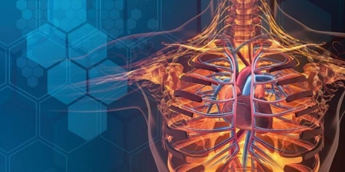 Comprehensive Overview of The Biosimulation Market Along with Emerging ...