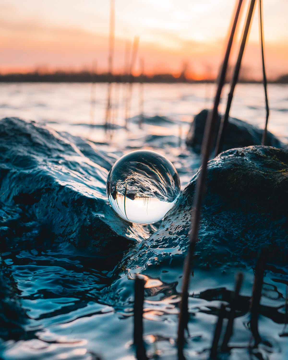 We live in parallel worlds. Human beings are lucky to have strong… | by ...