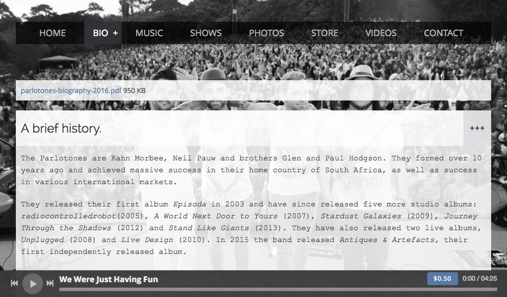 How to Write a Good Musician Biography: Expert Tips and Tricks | by Ts ...