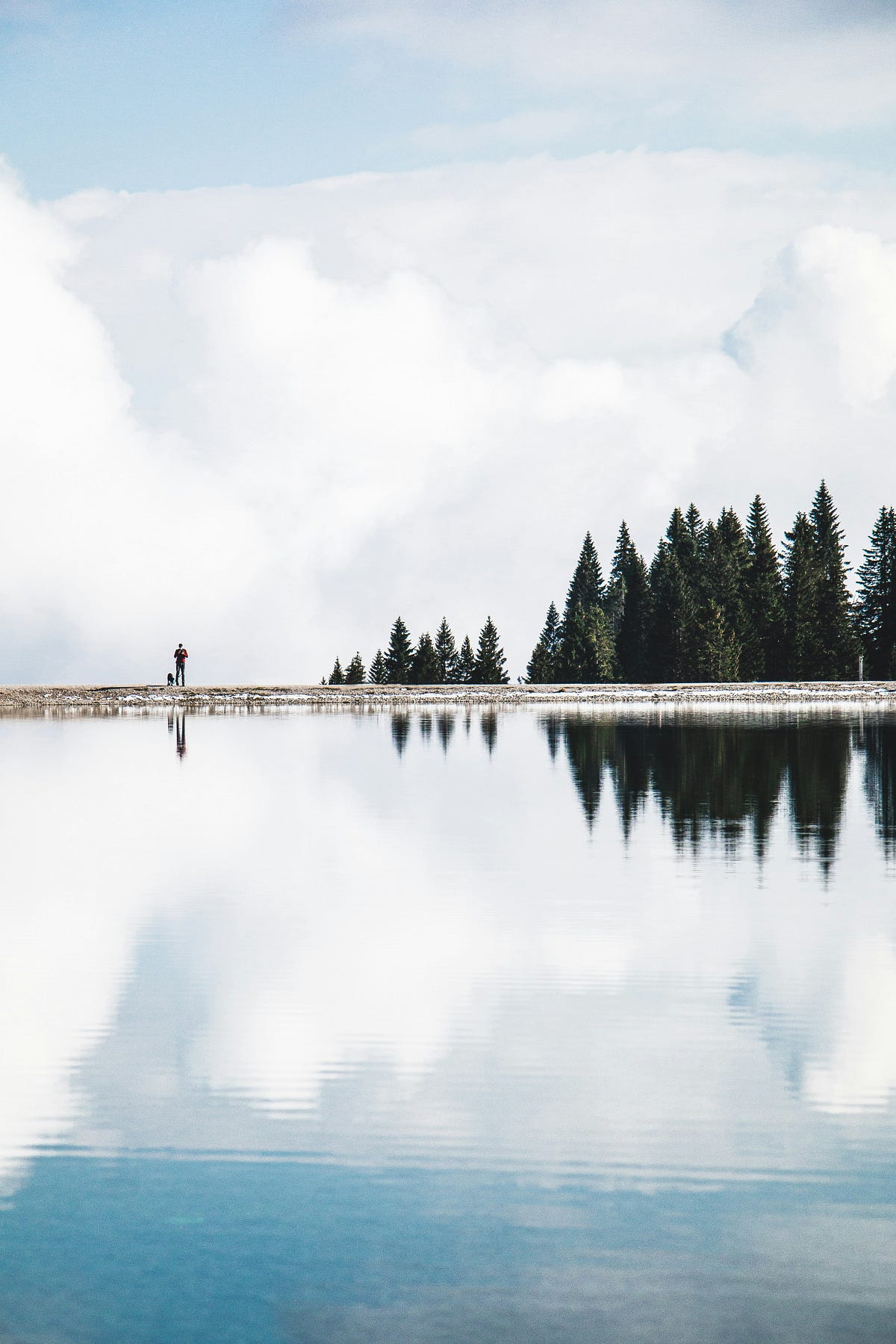 Life Architect 45: Human Design Basic- The Reflector’s Path to Flow ...