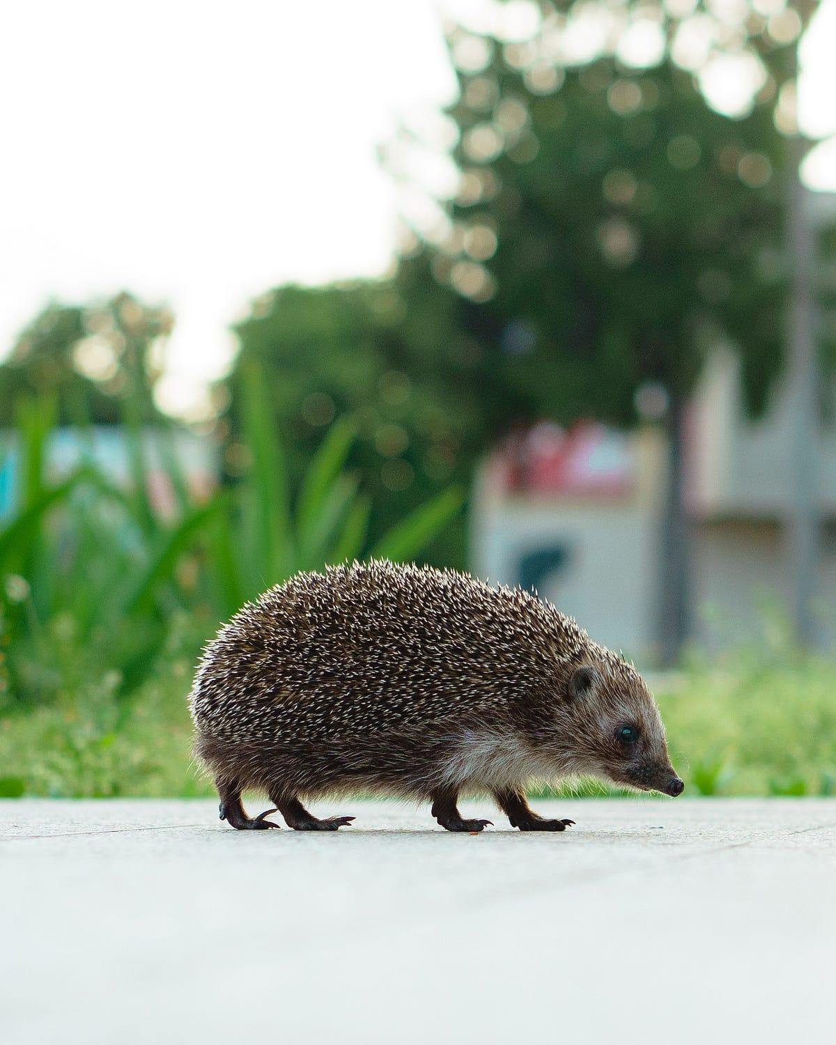 Climate Change Isn’t Worth Debating | by Ryan Turpin | Medium