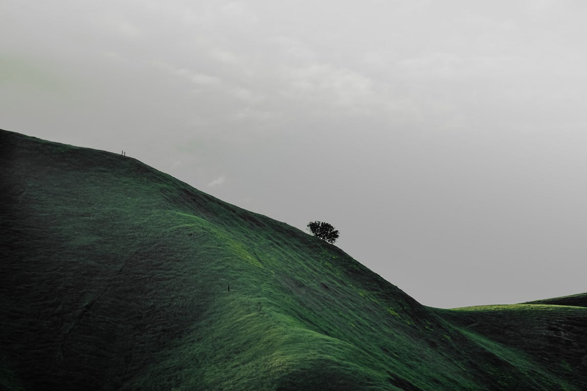 Gradient Descent Algorithm 101 Understand The Optimization Algorithm