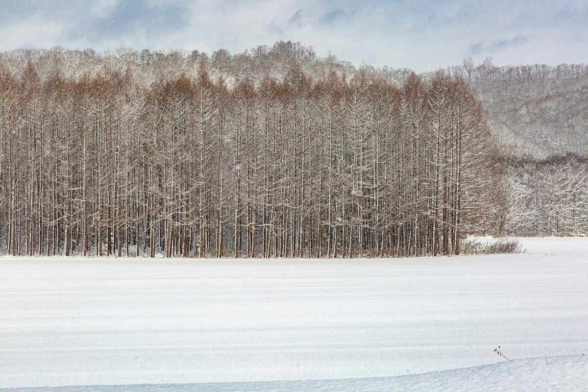 Hokkaido: Exploring Japan’s Northern Wilderness | by Amit.Tokyo | Medium