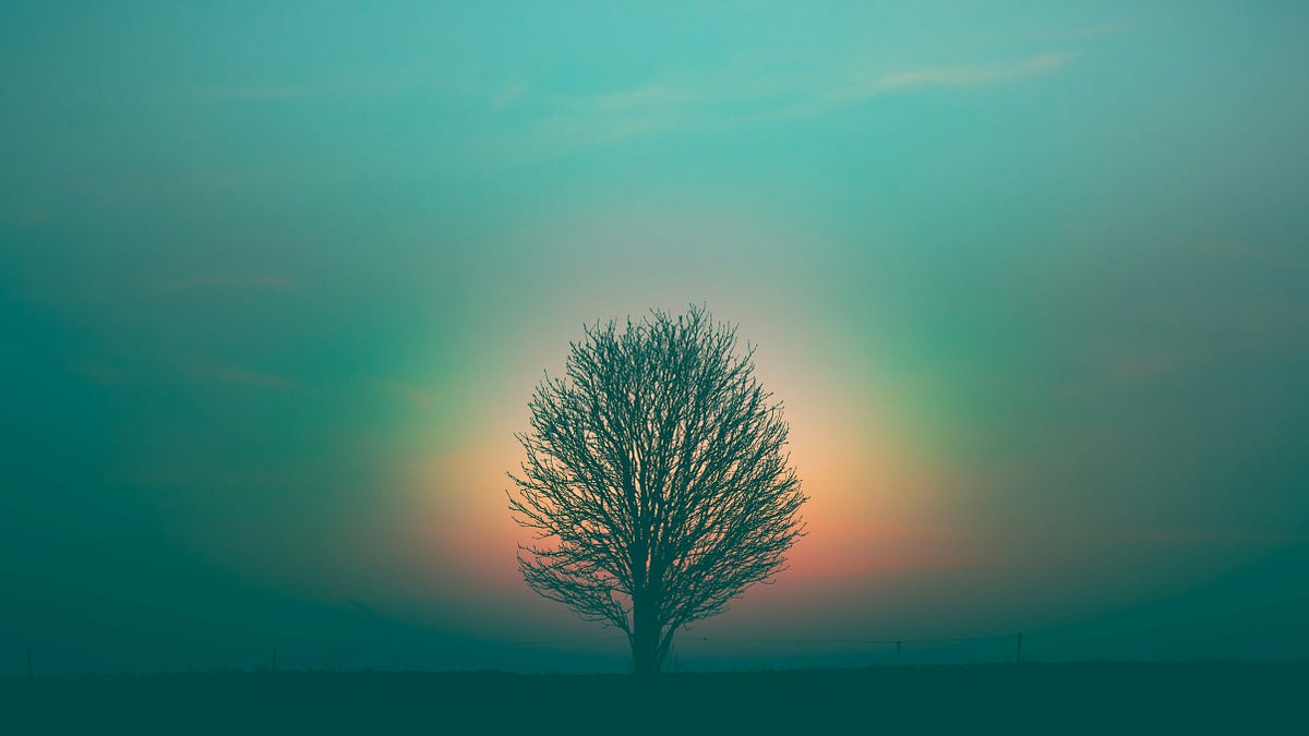 The Art Of Spiritual Decision Making: How We Are Responsible For Our ...