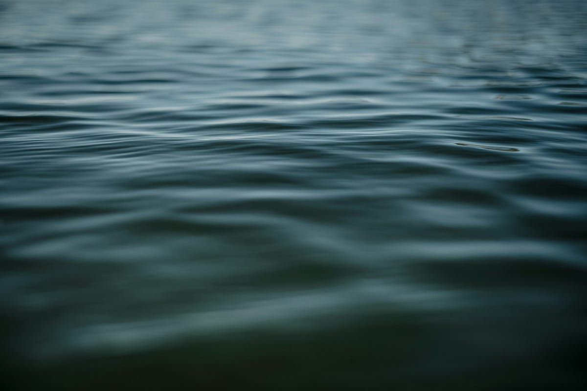 Why Water Is The Elixir Of Life. "Water is life’s matter and matrix ...