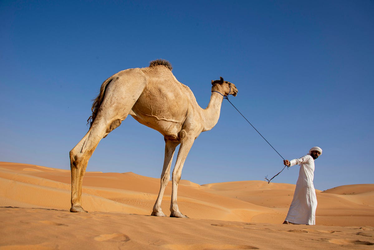 $$Countries known as savings paradises$$ | by Samreen Jan | Medium