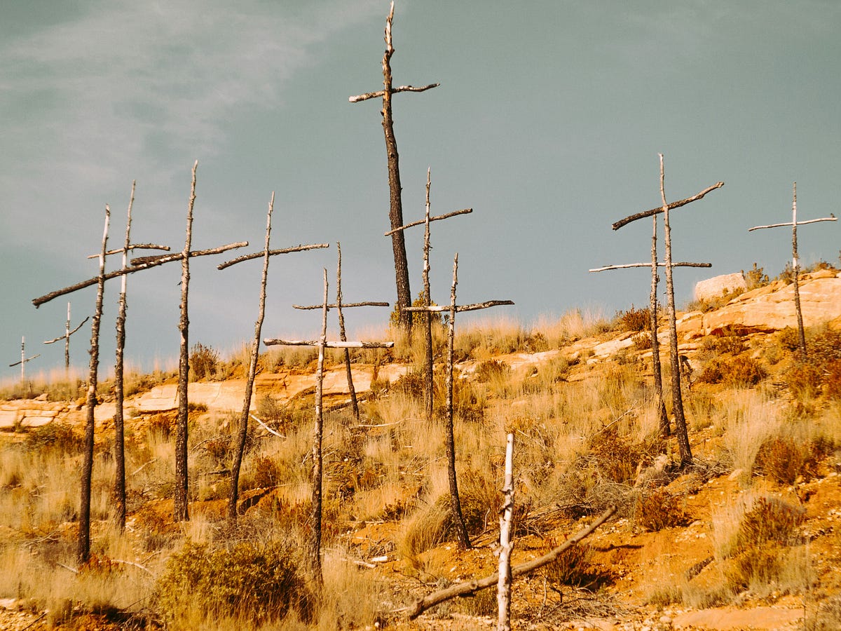 ‘Digging Up Bones’ — Issue #7 — January 22 | by Vera-Marie Landi ...