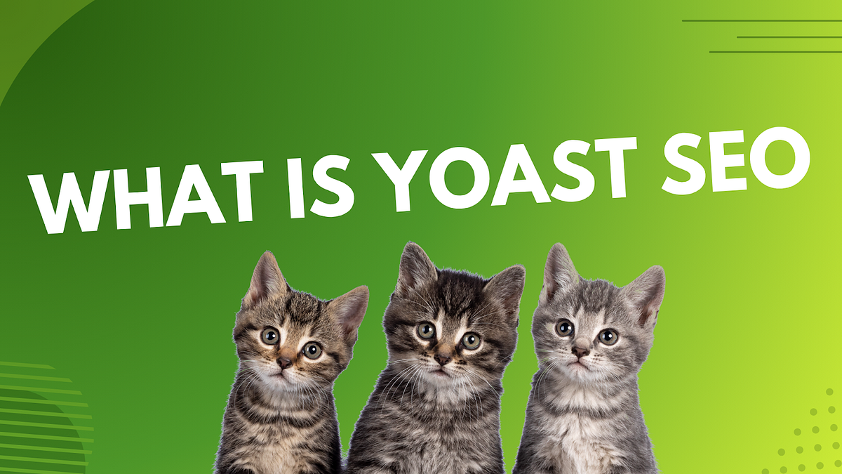 What is the Yoast SEO WordPress Plugin? | by Makarenko Roman | Medium