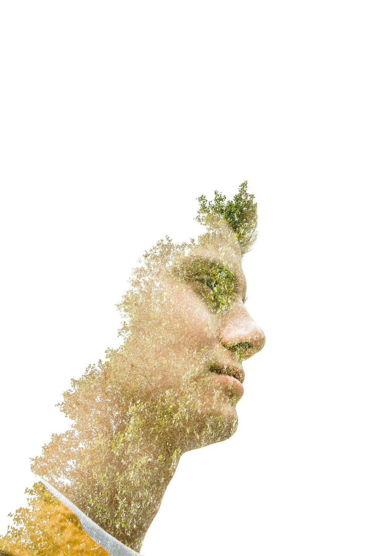 Seizing Power. The Power of Vulnerability in… | by Christopher ...