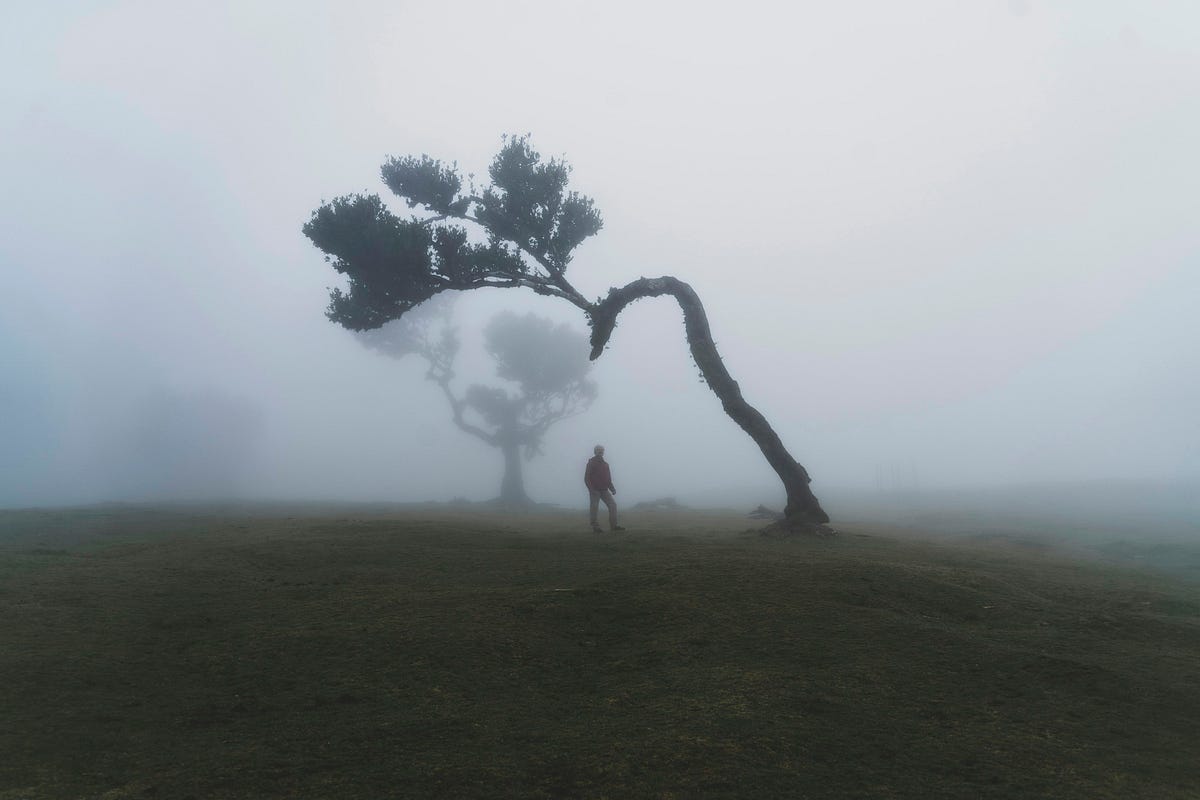 Camus Was Right About Grief: Loss Doesn’t Owe Us Meaning | by Anne ...