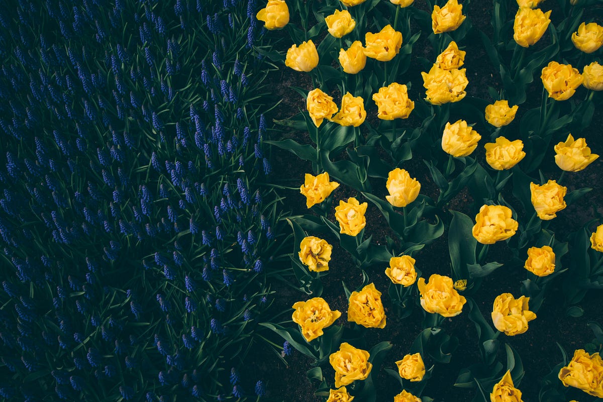 From Scratch to Superpower: Building an Image Classifier with CNNs and ...