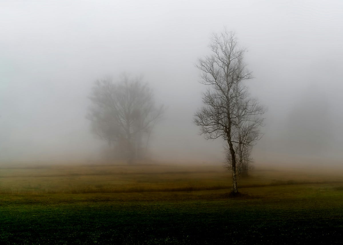 Present, Yet Absent — The Loneliness of Caregiving | by Venkatachalam ...