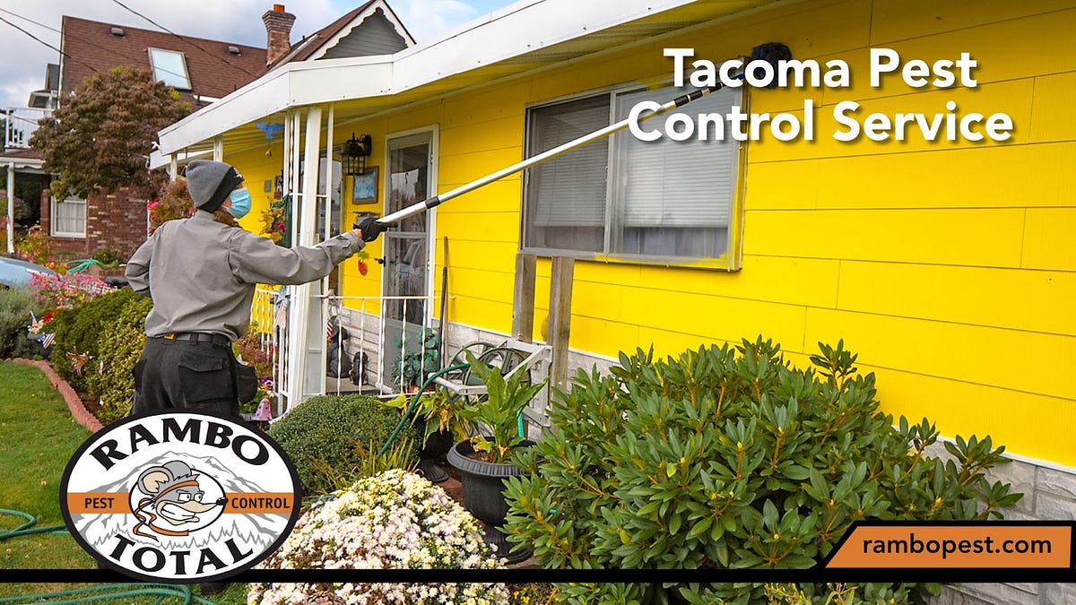 What are you waiting for?. Rambo Total Pest Control is a family… | by ...