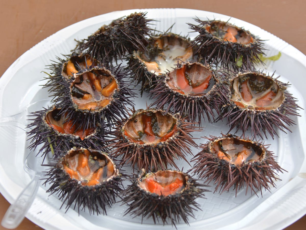 Swaki: How to Enjoy Eating Fresh Sea Urchins in Cebu | Medium
