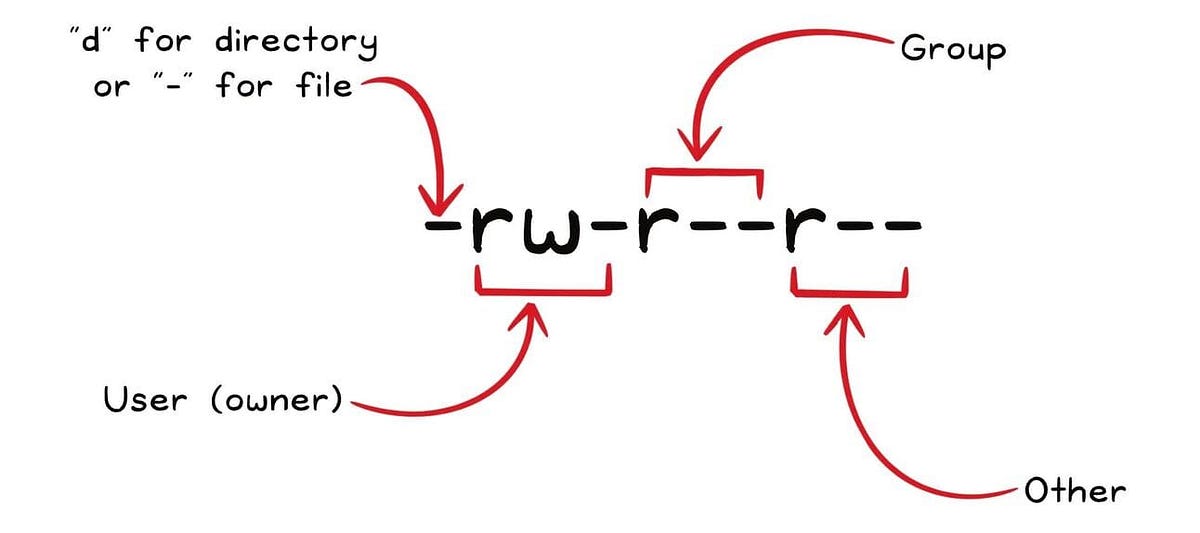 Linux Permissions Explained: Securing Your System Effectively. | by ...