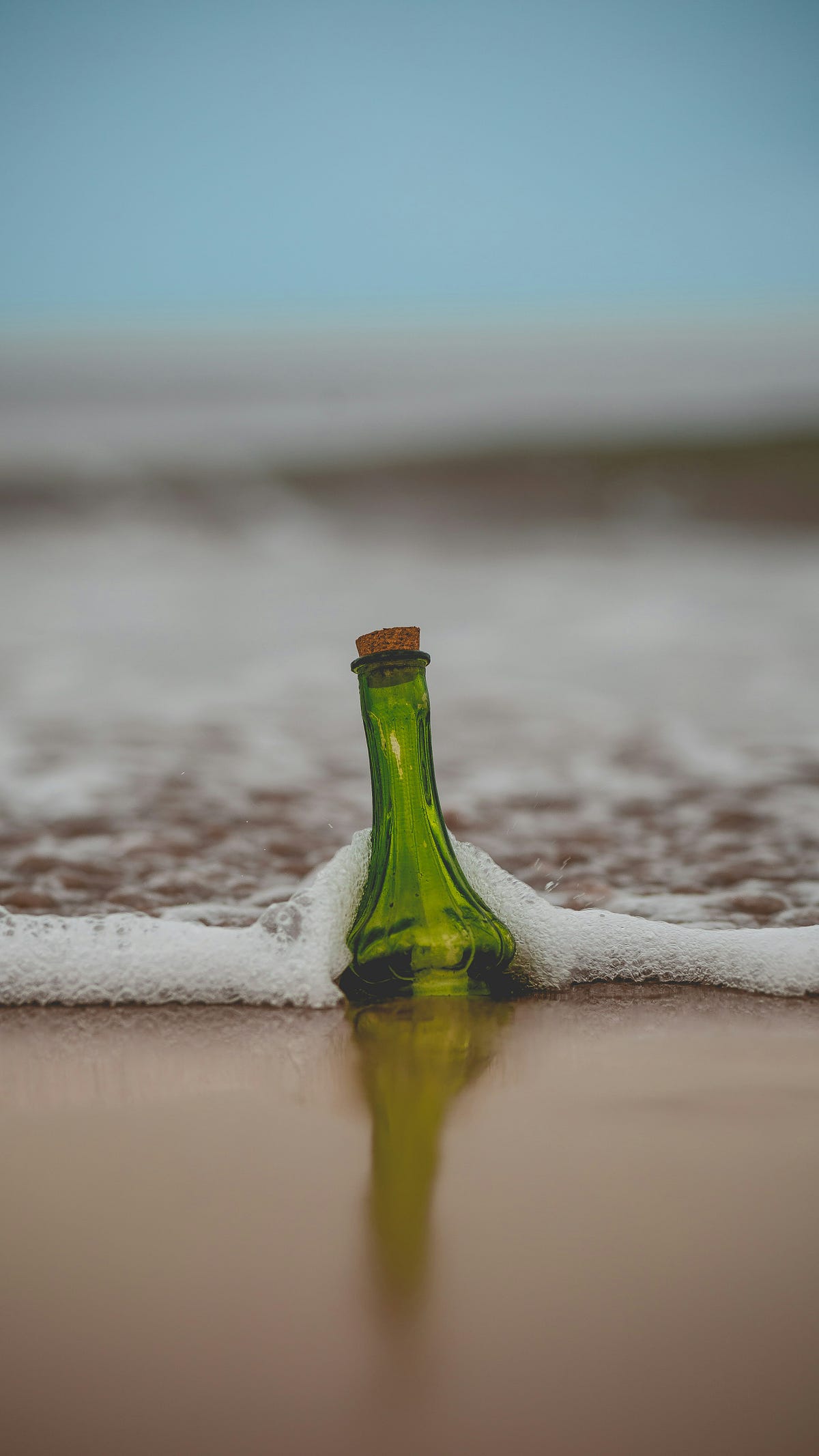 The Big Reveal. It’s time to announce the winners of… | by Willow Schroeder | My Fair Lighthouse ...