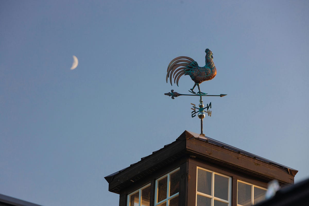 Weathervanes: Unique Selection of Copper Weathervanes, Finials, and ...