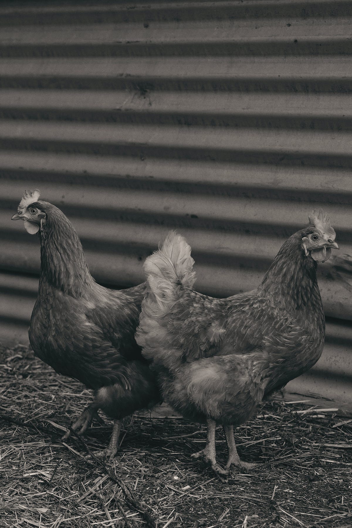 SQL Lesson 6: Navigating the SQL Seas — AND & OR Operators in Microsoft ...