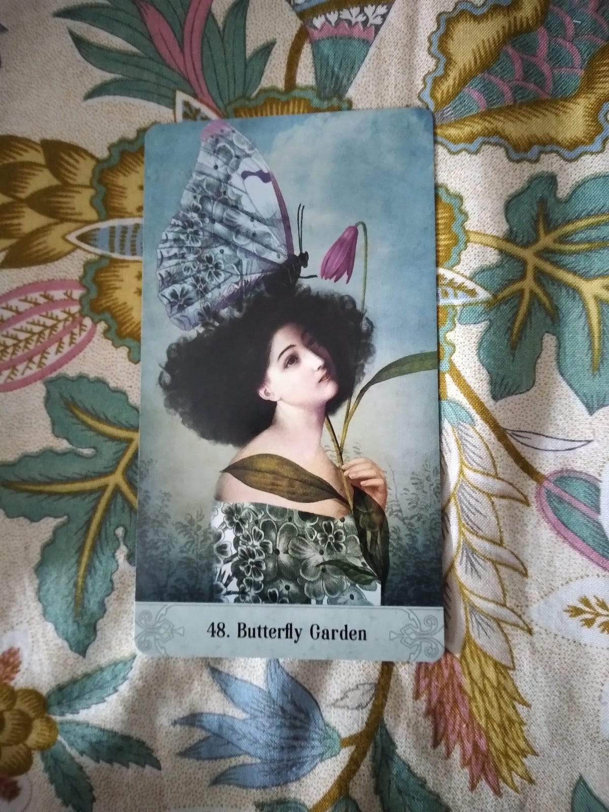 Carta Guía Semanal Oráculo Mystical Moments: Número 48, El Jardín de la Mariposa. | by Ariel ...