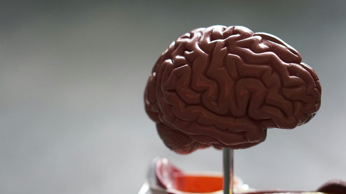 These Are Ways To Make Your Brain sharper, smarter, and lightning fast ...