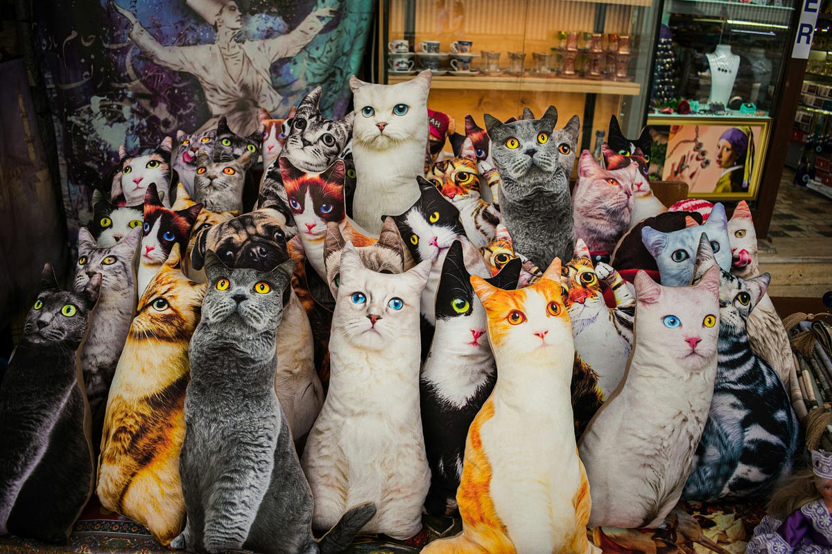 It’s Not Us, It’s a Cat. Vignette Gazette Edition #33 |… | by Meta ...