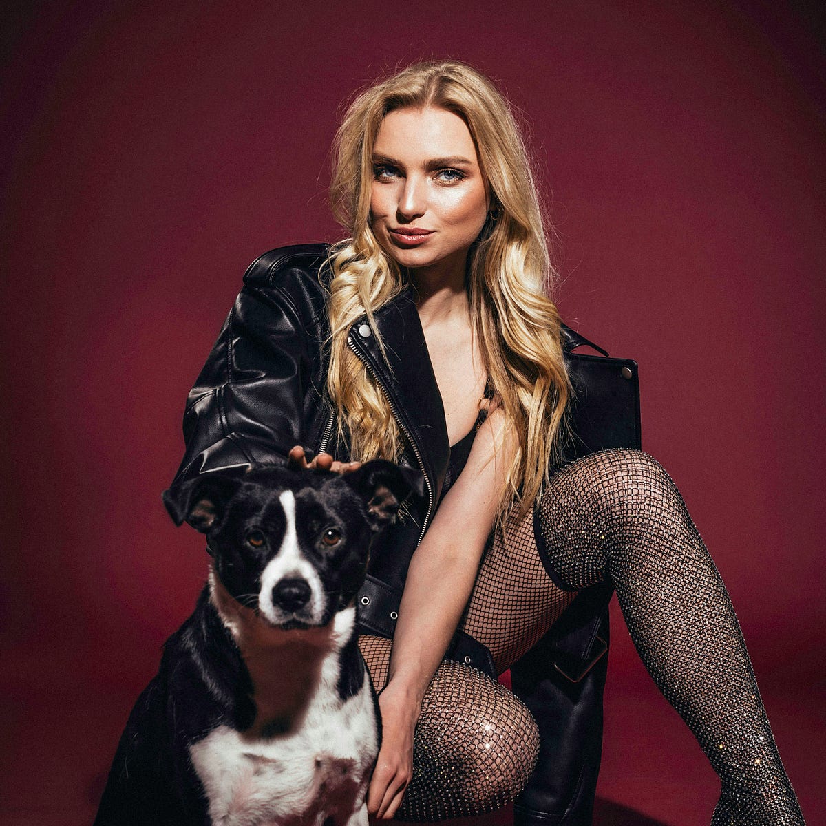 The Influence of Celebrity Pets on Pet Fashion: Your Dog Can Look Cooler Than You | by Doris ...