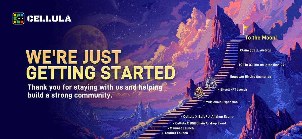 Cellula Mid-Year Review. Introduction | by Cellula | Medium