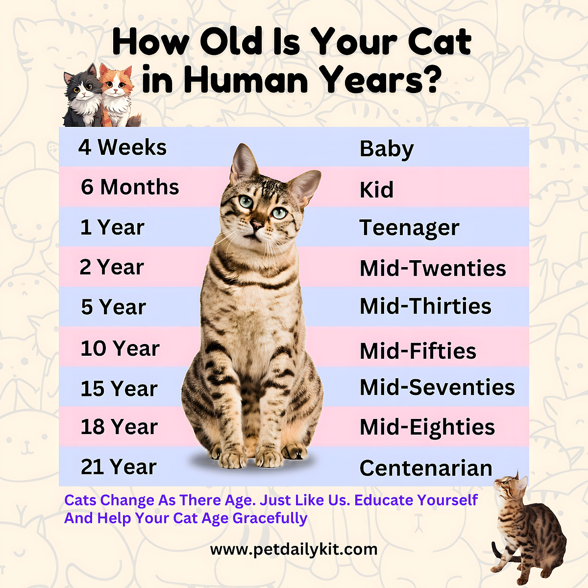 Cat Years To Human Years: An Amazing Guide | Medium