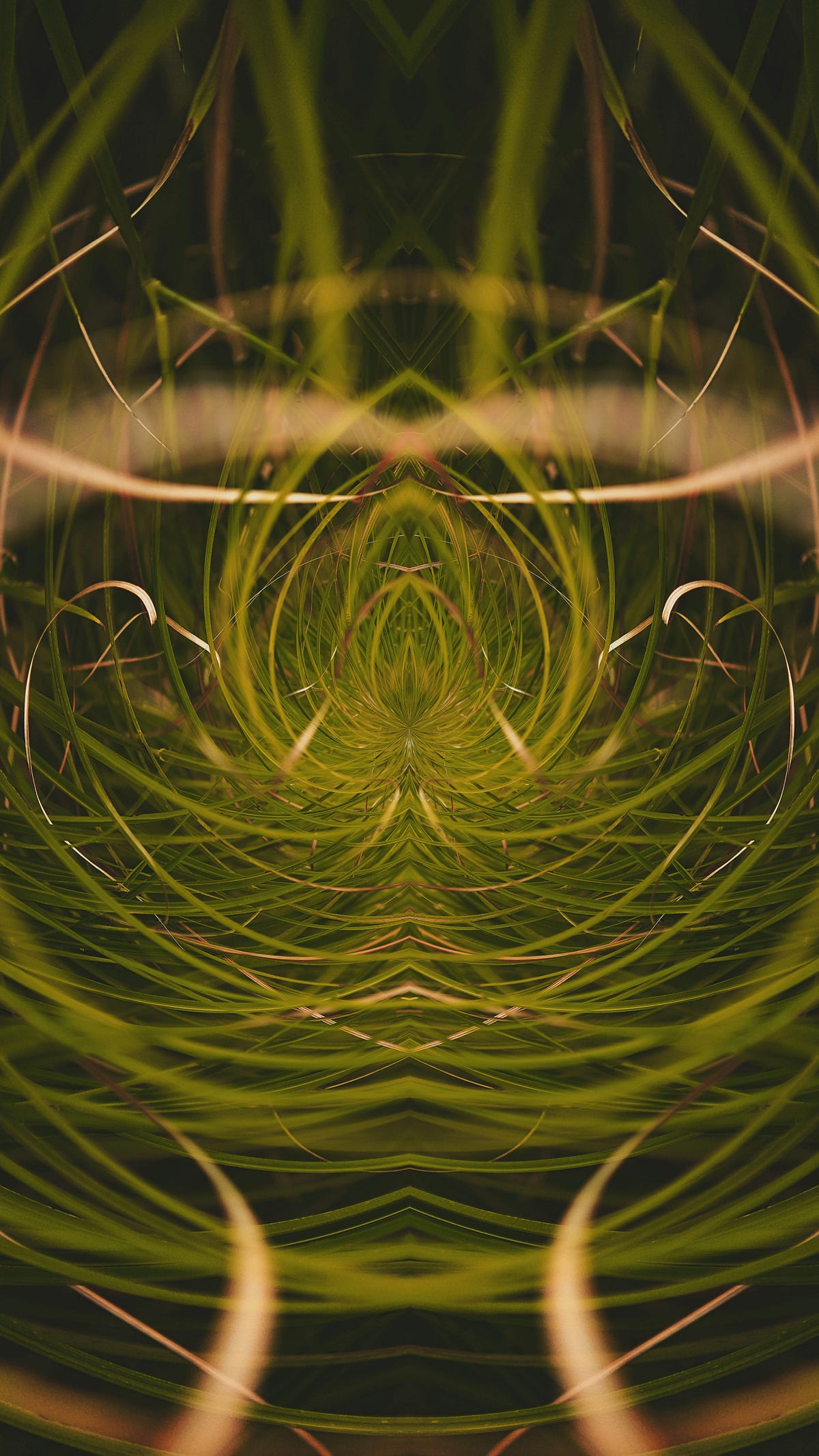 Fine-Tuning a Pre-Trained ResNet-18 Model for Image Classification on ...