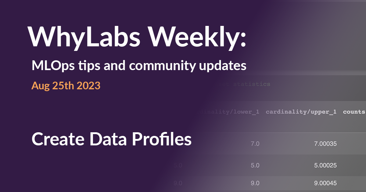 WhyLabs Weekly: Creating powerful data profiles | by Sage Elliott ...