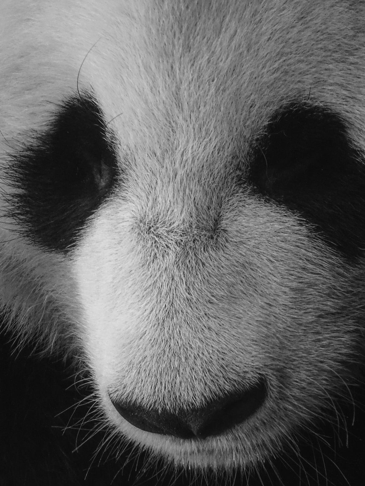 Exploring Dfexplode In Pandas A Powerful Tool For Flattening Lists And Sets By Koshurai