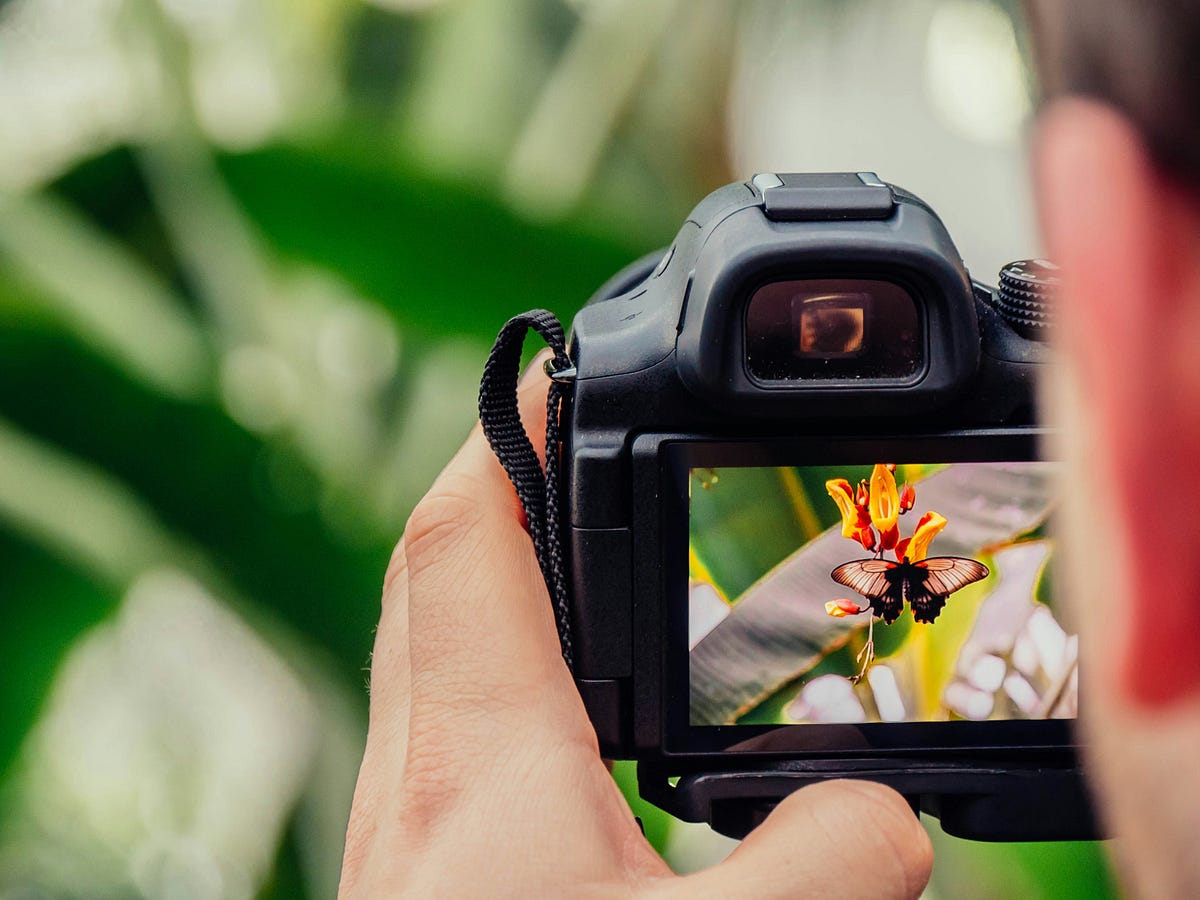 Best DSLR for Professional Photography | by Ibrahim | Medium