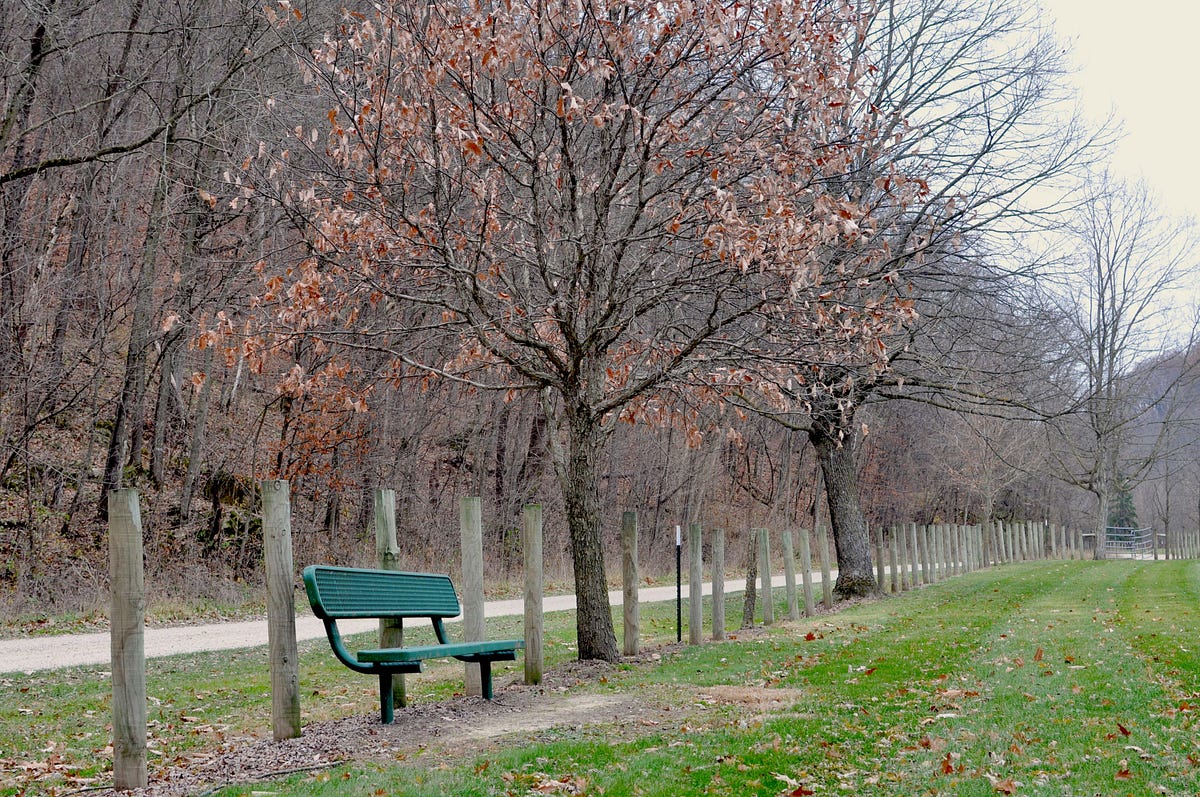 Random Afternoons — The paradox of endings in life | by Harikrishna P S | No Time | Medium