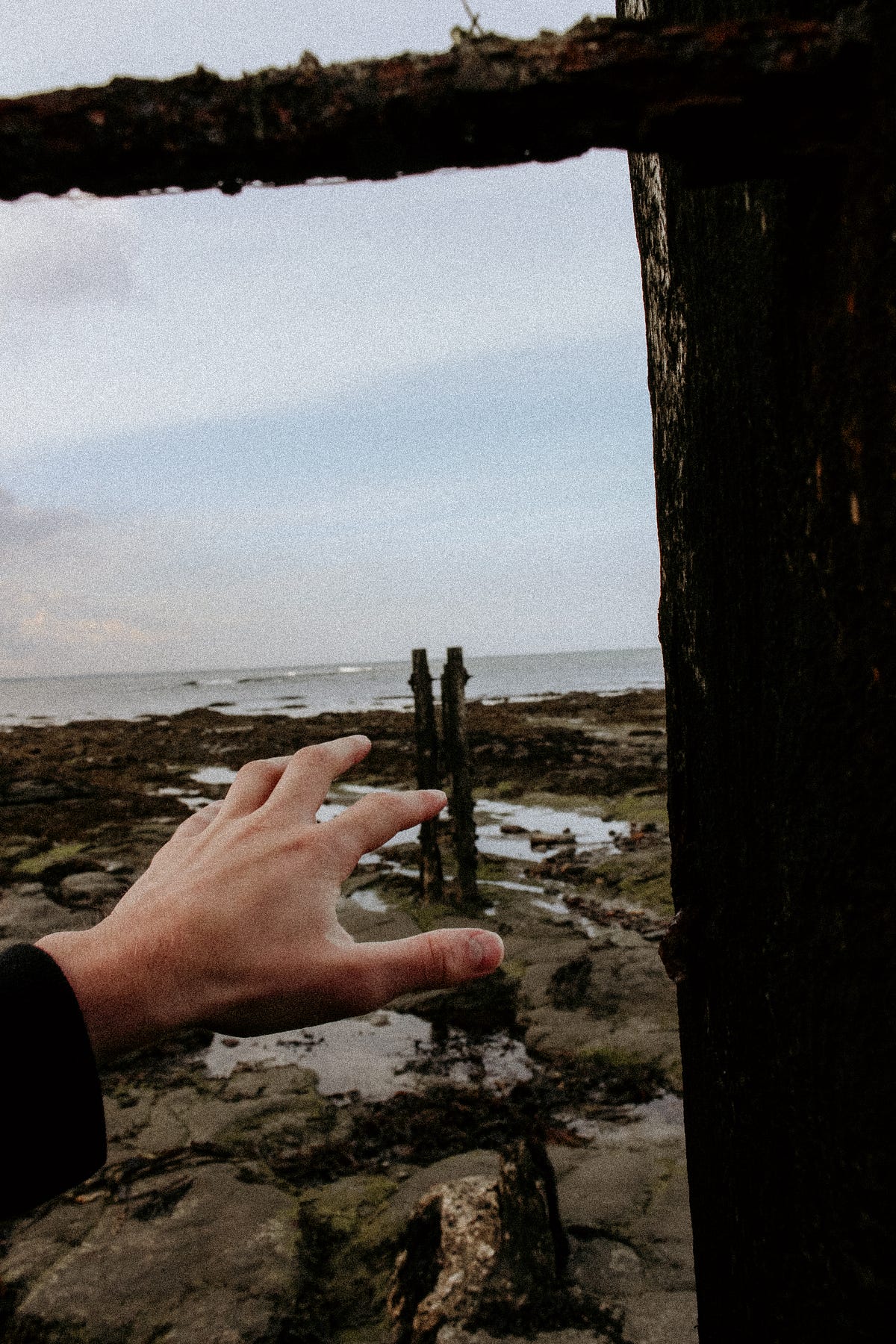 The Reason I Left - a Few Words - Medium